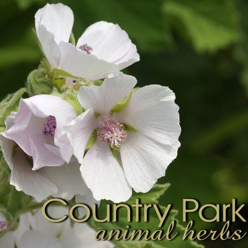 Country Park - Marshmallow Root Powder 1kg | Yarramalong Farm Supplies