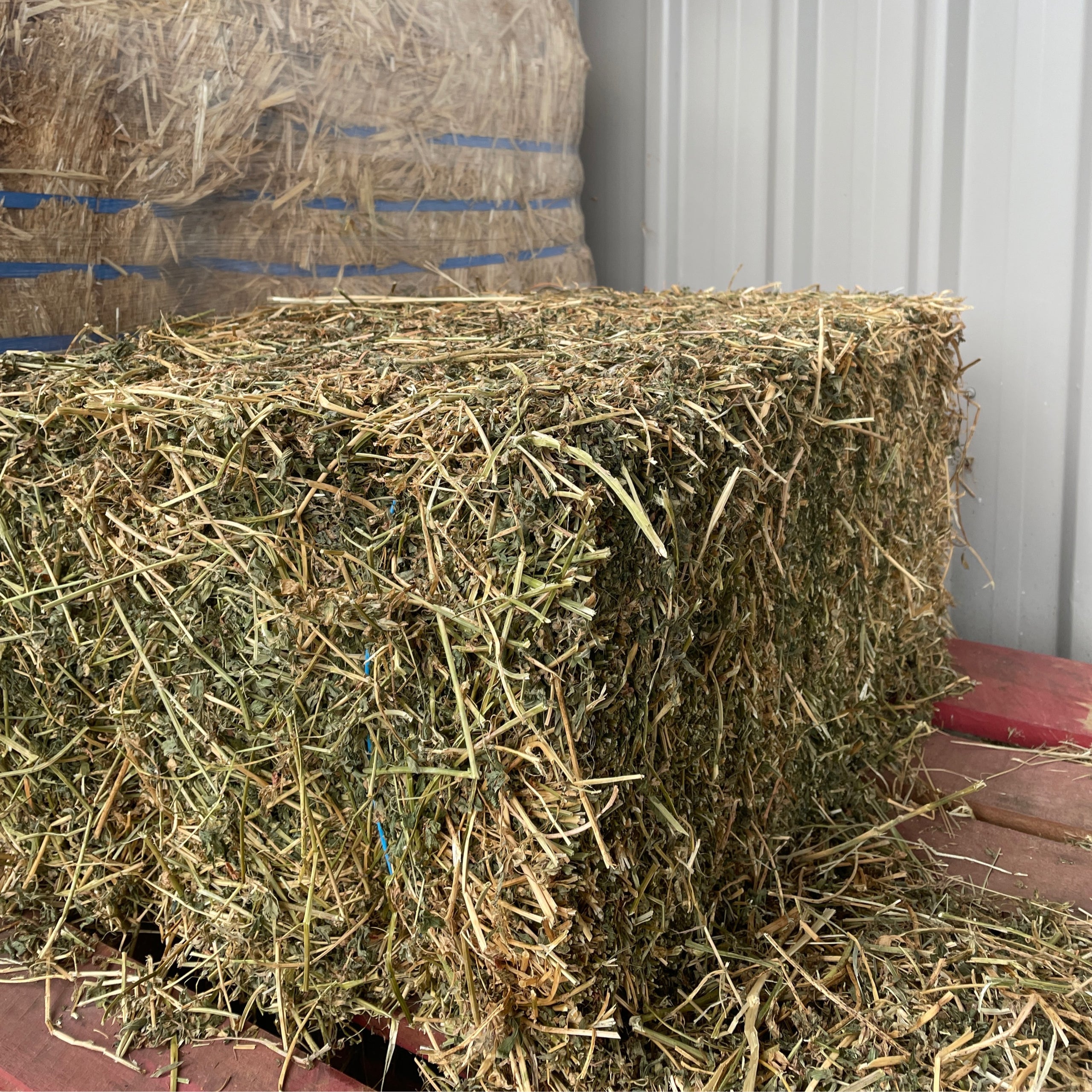 Hay - B grade Lucerne Hay | Yarramalong Farm Supplies
